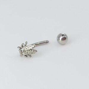 16G Little Vintage Bug Piercing #rook, Curved Barbell Cartilage ...