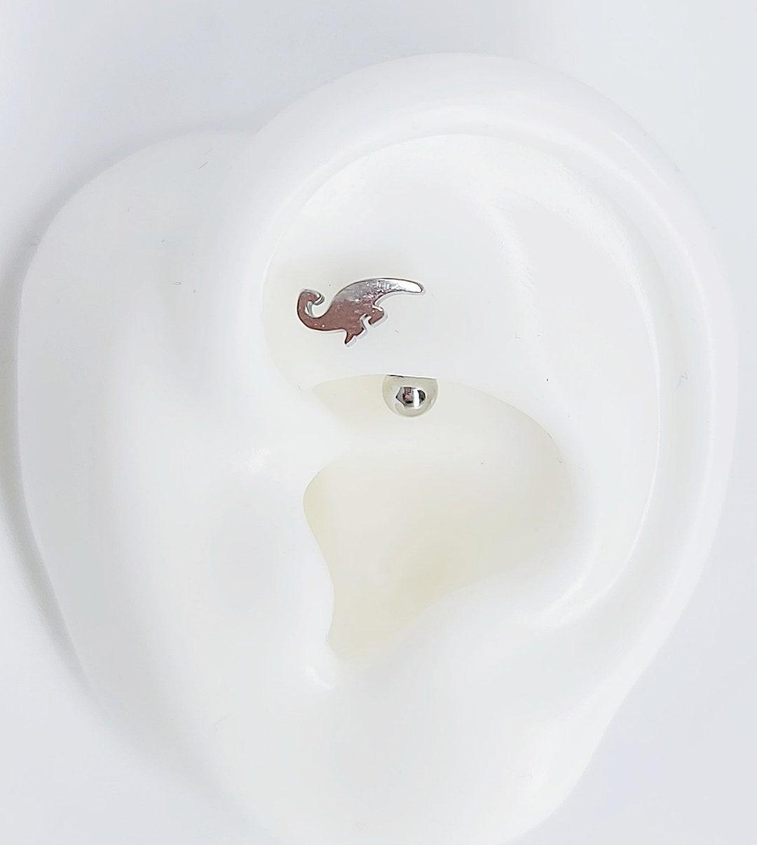 16G Dinosaur Rook Piercing: Surgical Steel Curved Barbell - Etsy