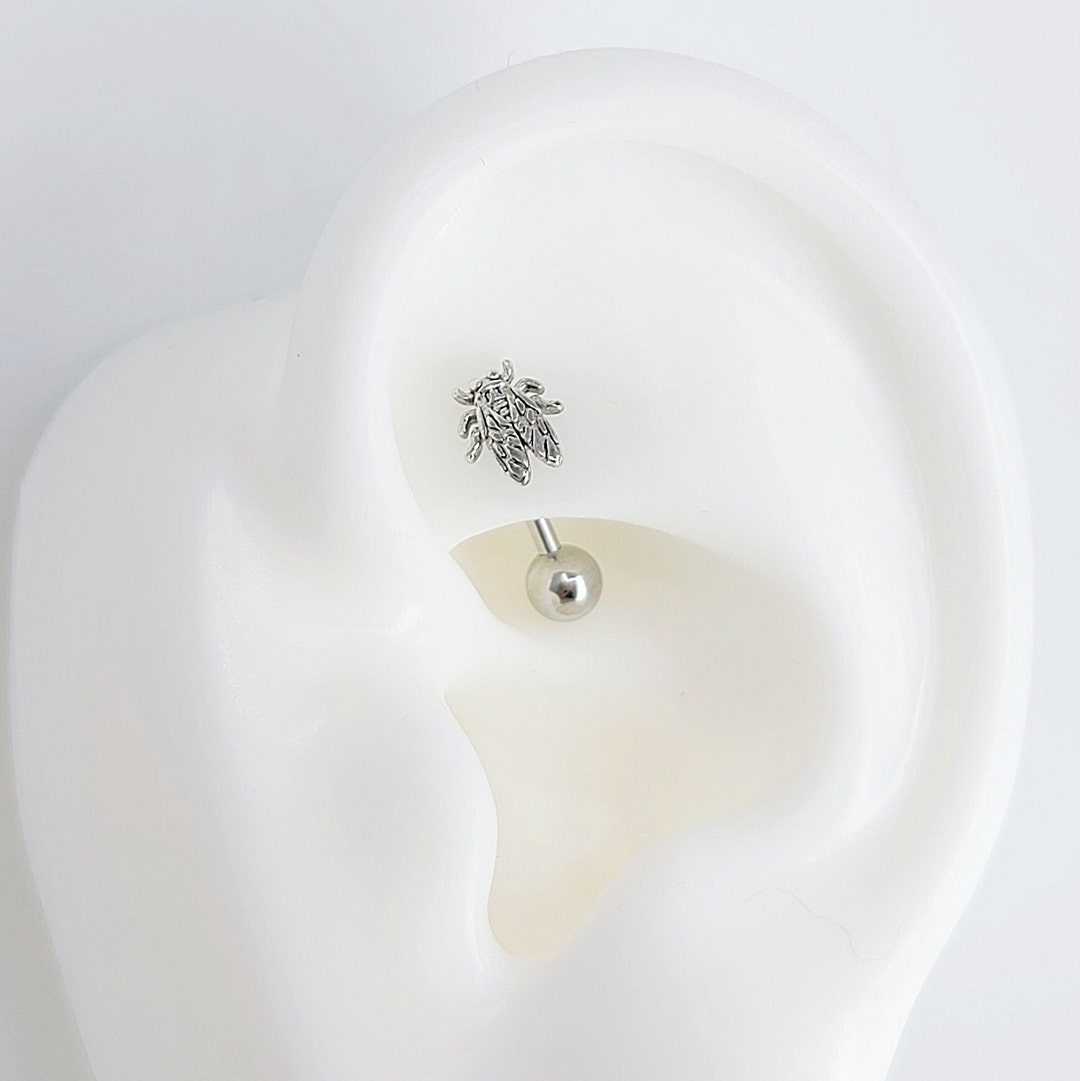 16G Little Vintage Bug Piercing #rook, Curved Barbell Cartilage ...