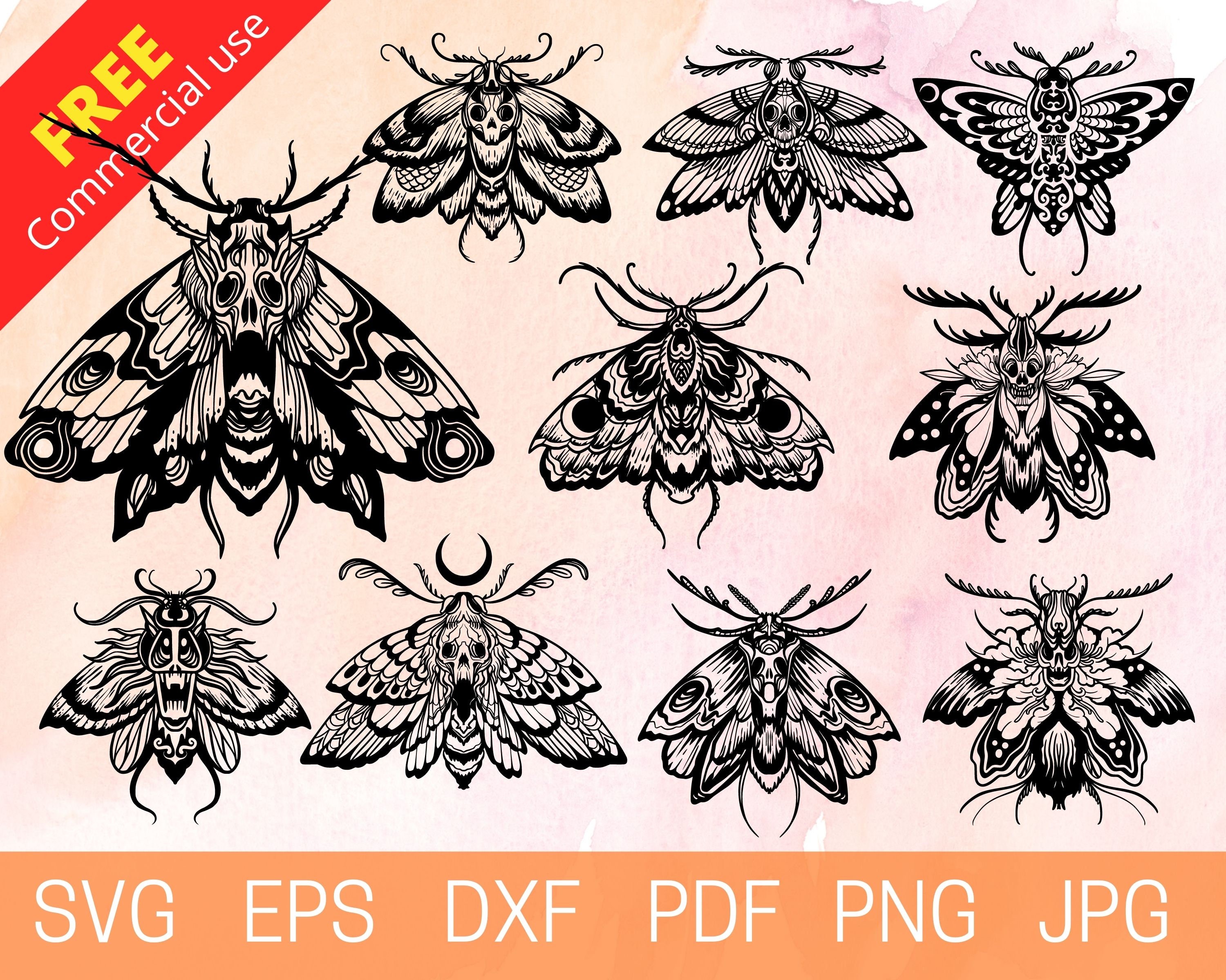Death moth SVG Death moth mandala Butterfly Moth doodle Butterfly svg ...