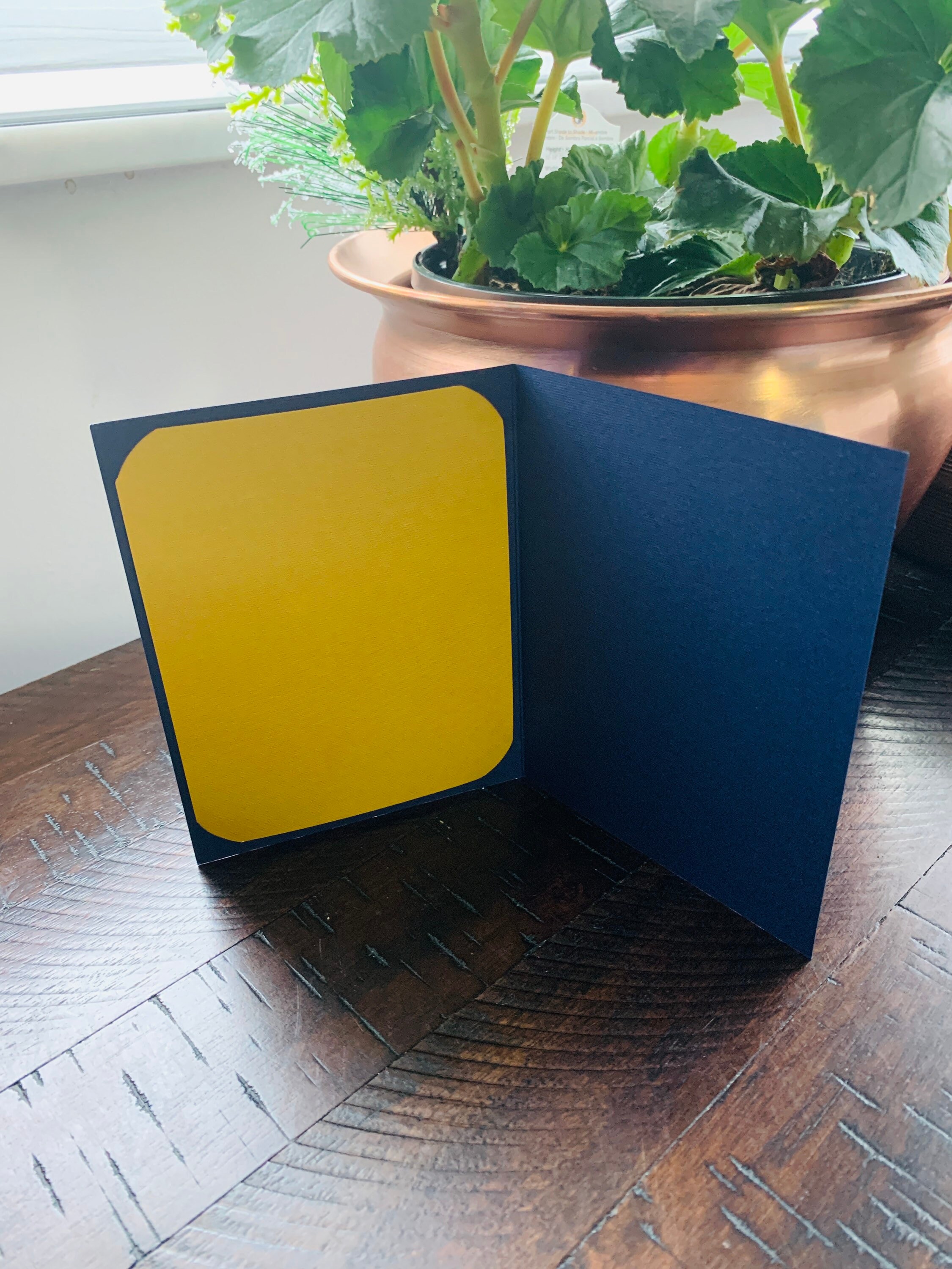 Lo Siento Amiga / I'm Sorry Friend - Spanish Greeting Card - Custom ...