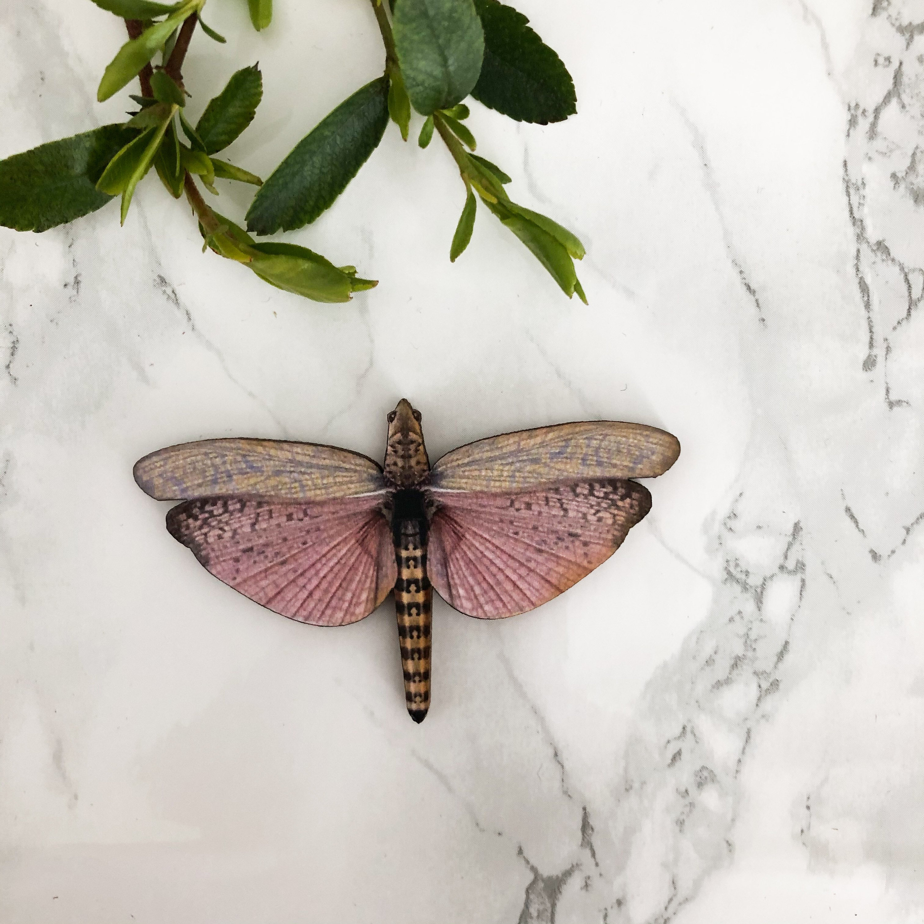 Locust. Flying Locust. Laser Cutout. Make a Project. - Etsy UK