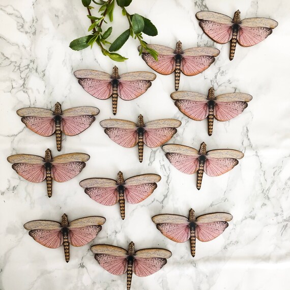 Locust Flying