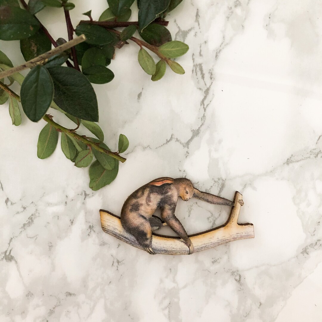 Cute Sloth Wooden Cutout for Crafting and Jewellery Making. - Etsy