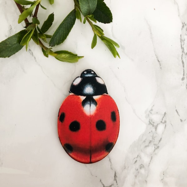 Wooden Lady Bug - Etsy