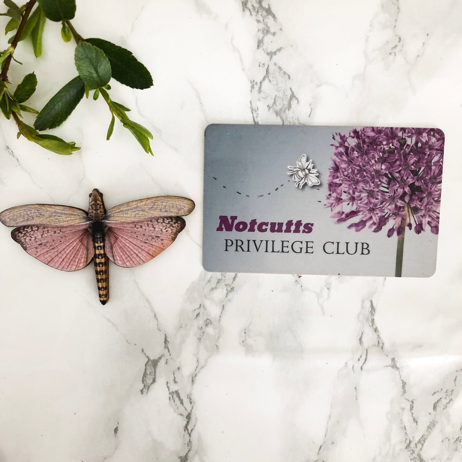 Locust. Flying Locust. Laser Cutout. Make a Project. - Etsy UK