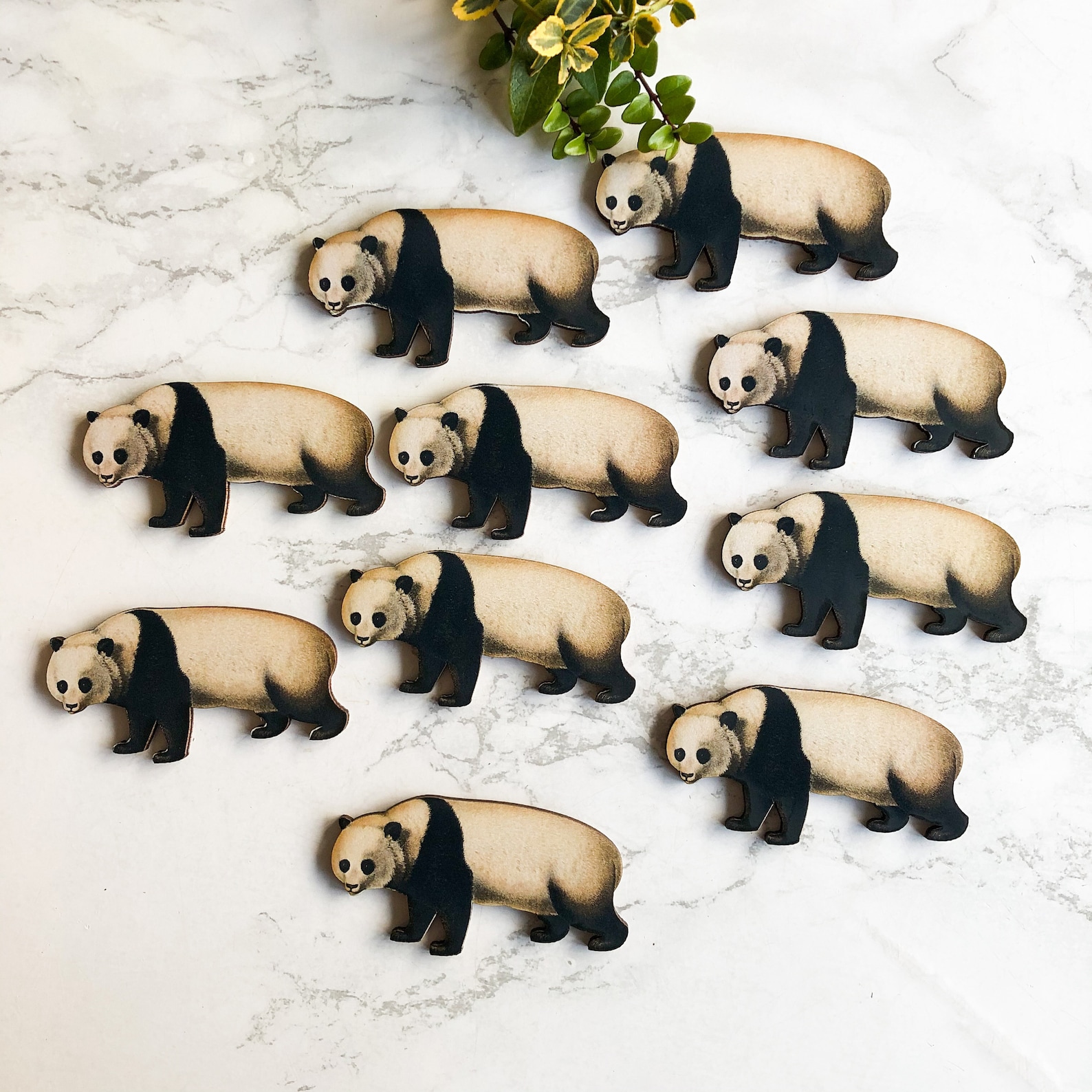 Giant Panda. Wooden Cutout for Crafting and Jewellery Making. - Etsy