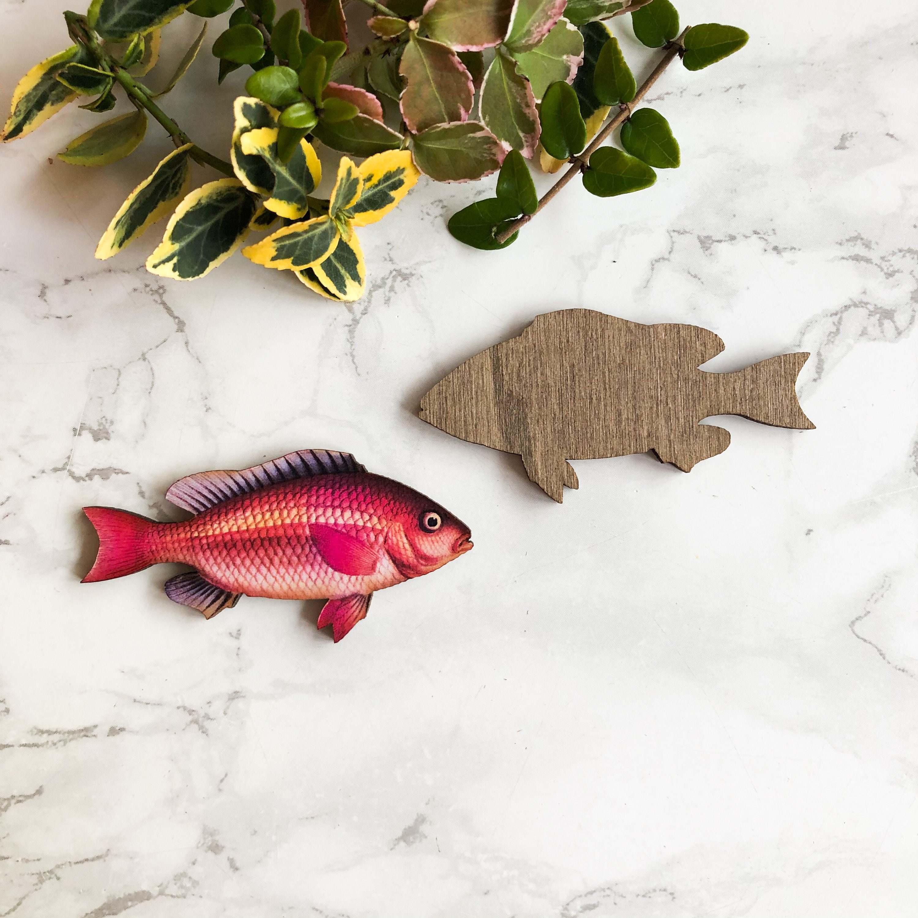 Red fish wooden cutout for crafting and jewellery making. | Etsy