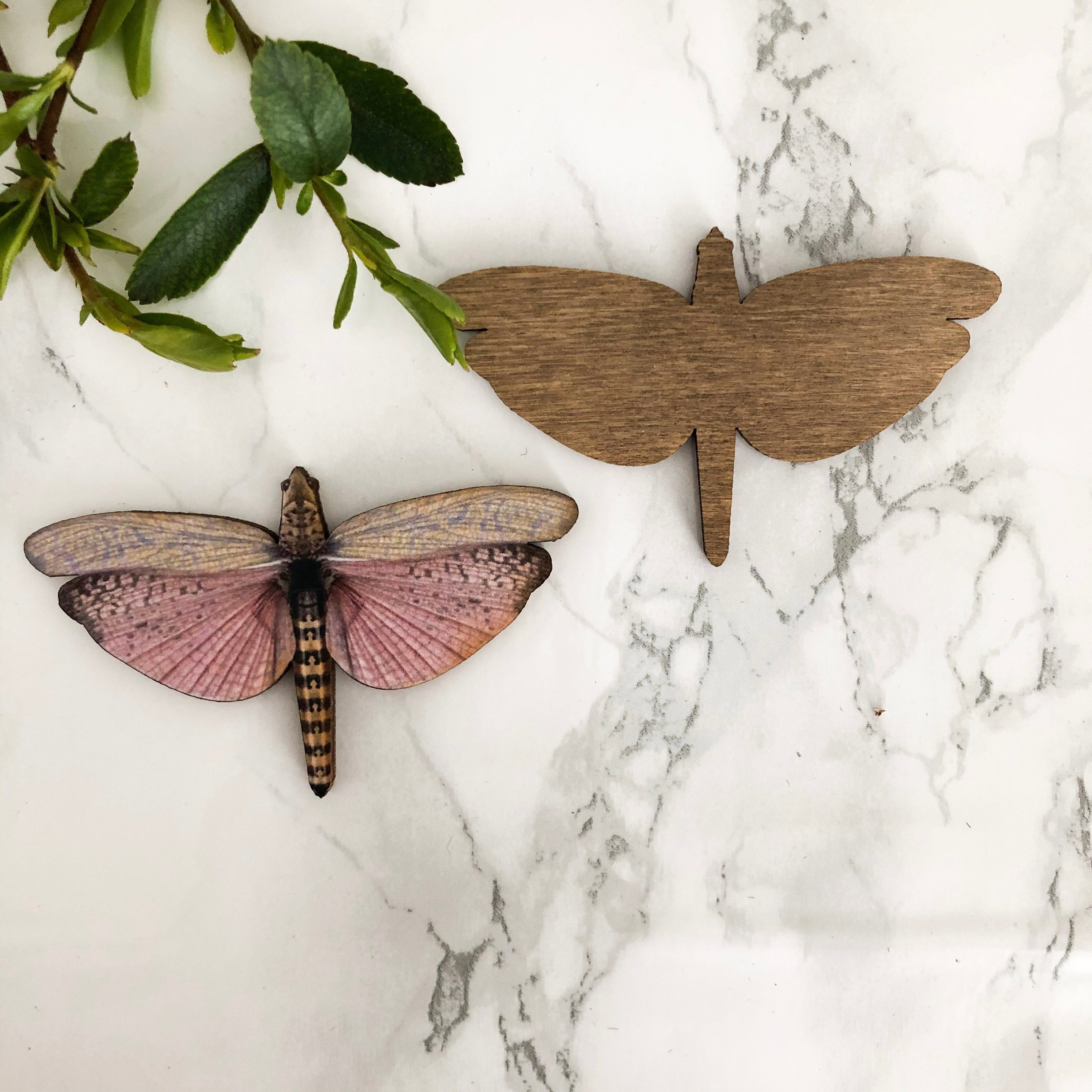 Locust. Flying Locust. Laser Cutout. Make a Project. - Etsy UK