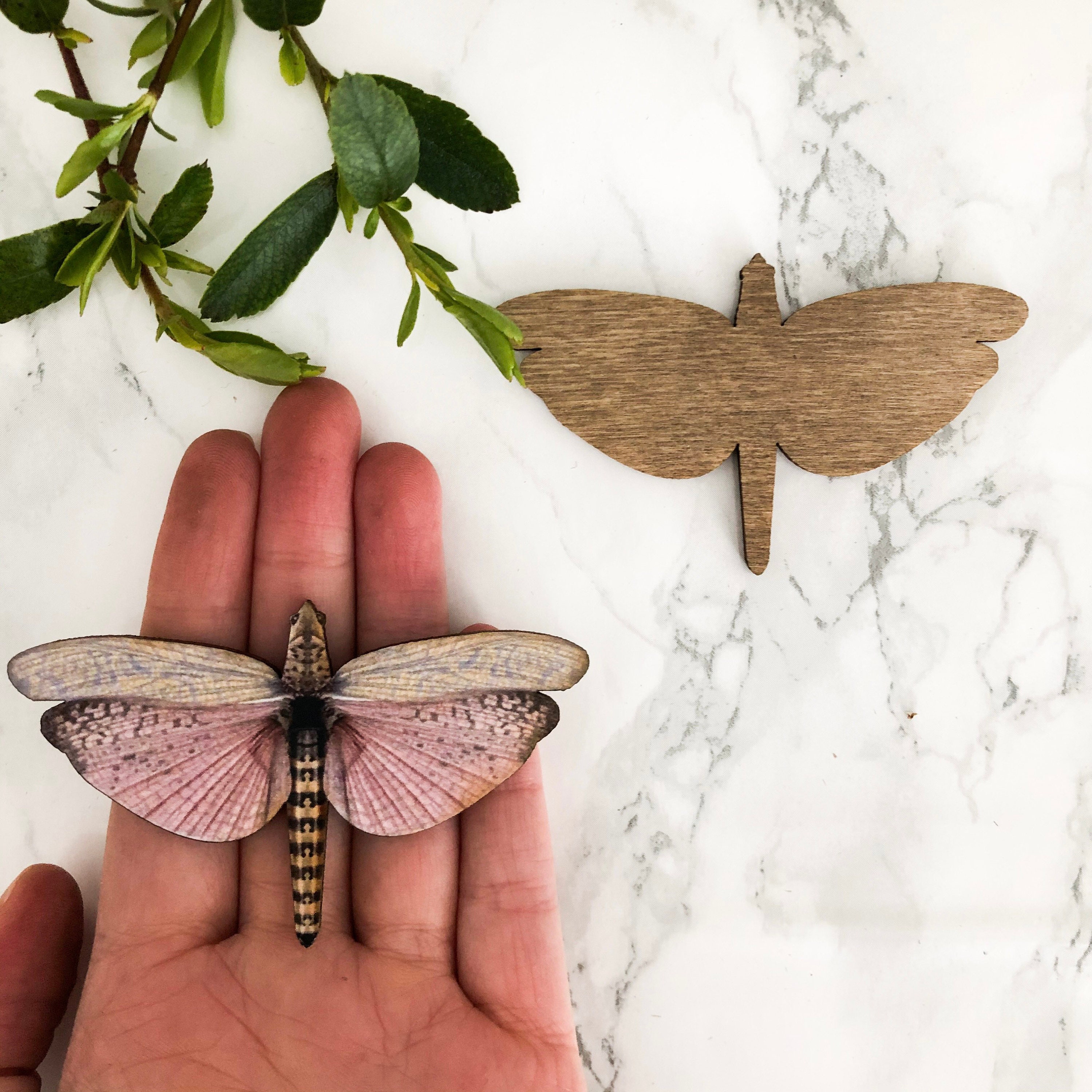 Locust. Flying Locust. Laser Cutout. Make a Project. - Etsy UK