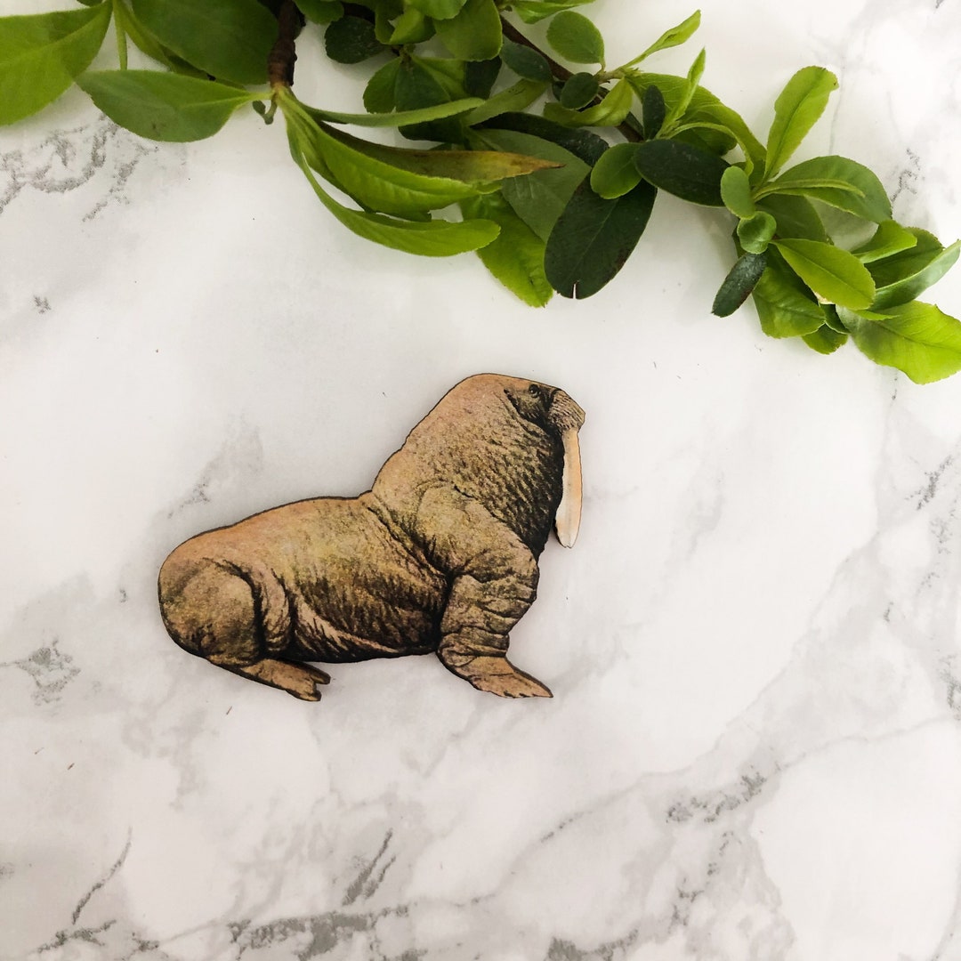 Atlantic Walrus. A Fishy Tale. - Etsy