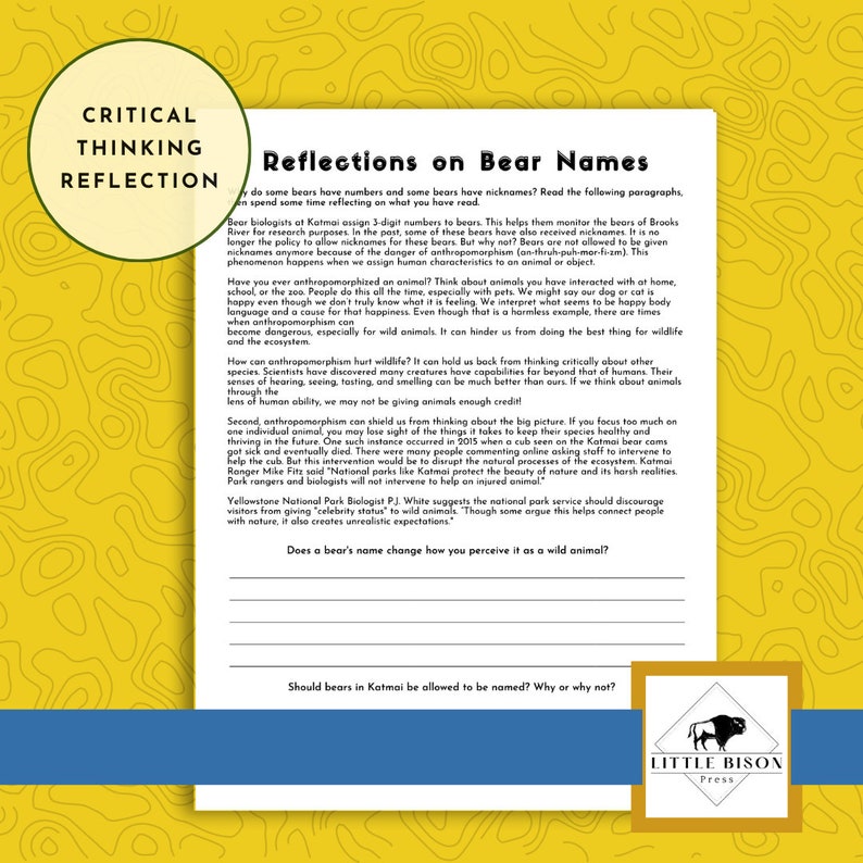 Fat Bear Week Activity Worksheets for Kids - Etsy