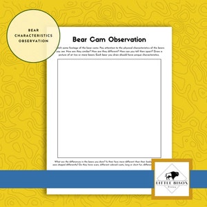 Fat Bear Week Activity Worksheets for Kids - Etsy