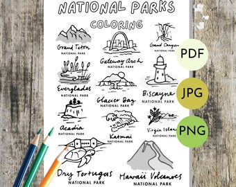 Fat Bear Week Activity Worksheets for Kids - Etsy