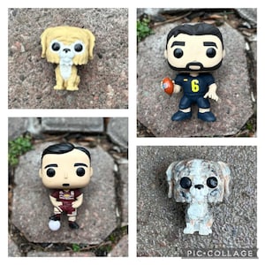 Custom Pop Figure + Custom POP Box, Graduation Gift, Birthdays ...