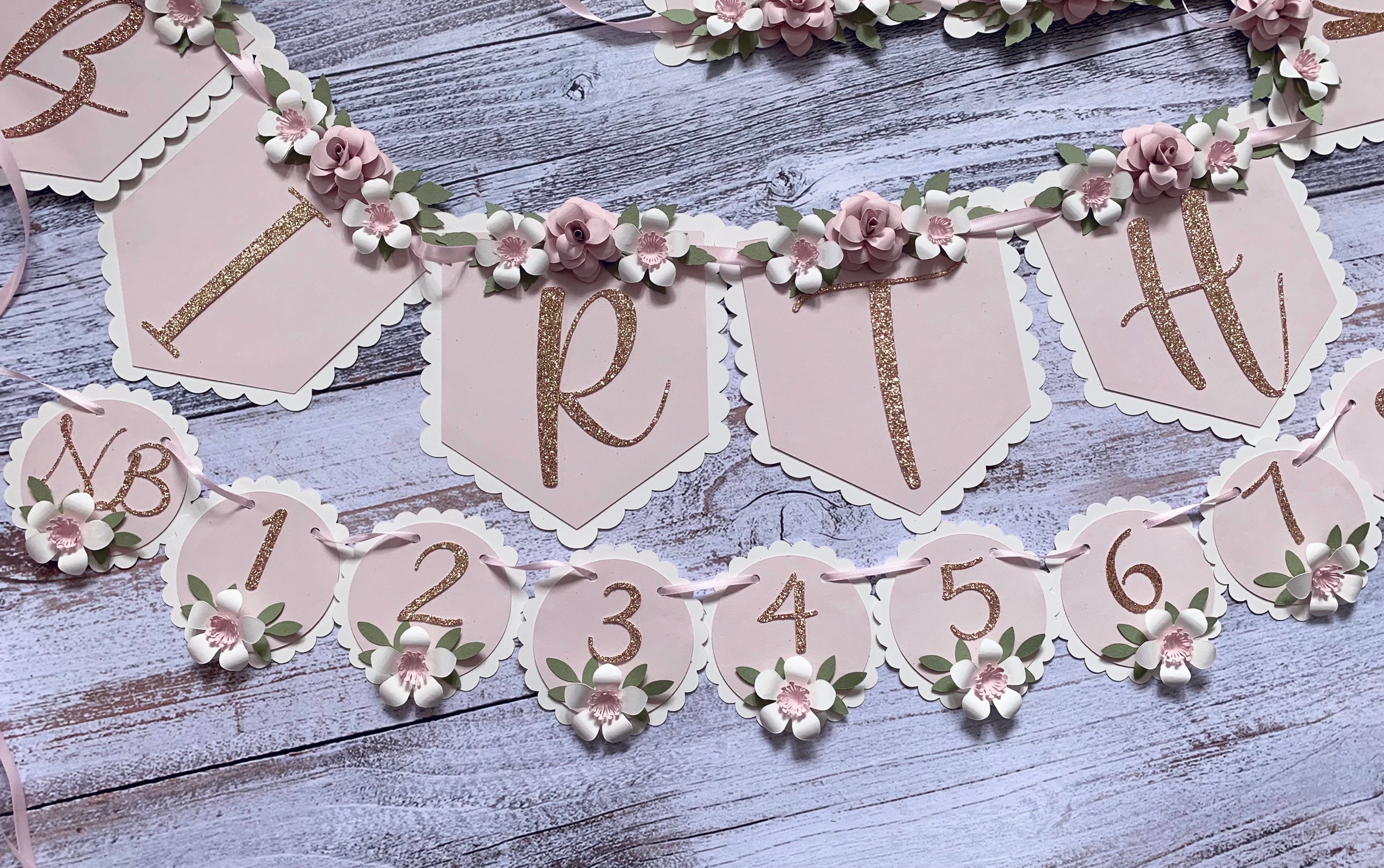 Blush 1st Birthday High Chair Banner ONE Banner Baby Girl | Etsy