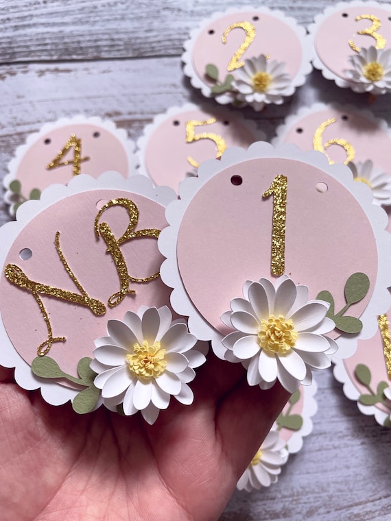 Daisy First Year Monthly Milestone Photo Banner Daisy Pink - Etsy