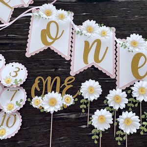 Daisy First Year Monthly Milestone Photo Banner, Daisy Pink Monthly ...