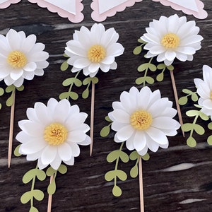 Daisy First Year Monthly Milestone Photo Banner, Daisy Pink Monthly ...