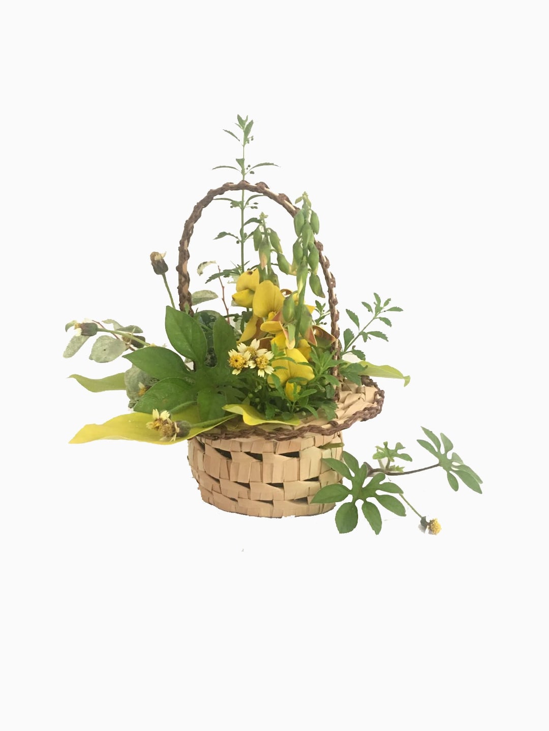 Free Shipping Handmade Palm Leaf Basket, Natural Leaf, Art of Palm Leaf ...