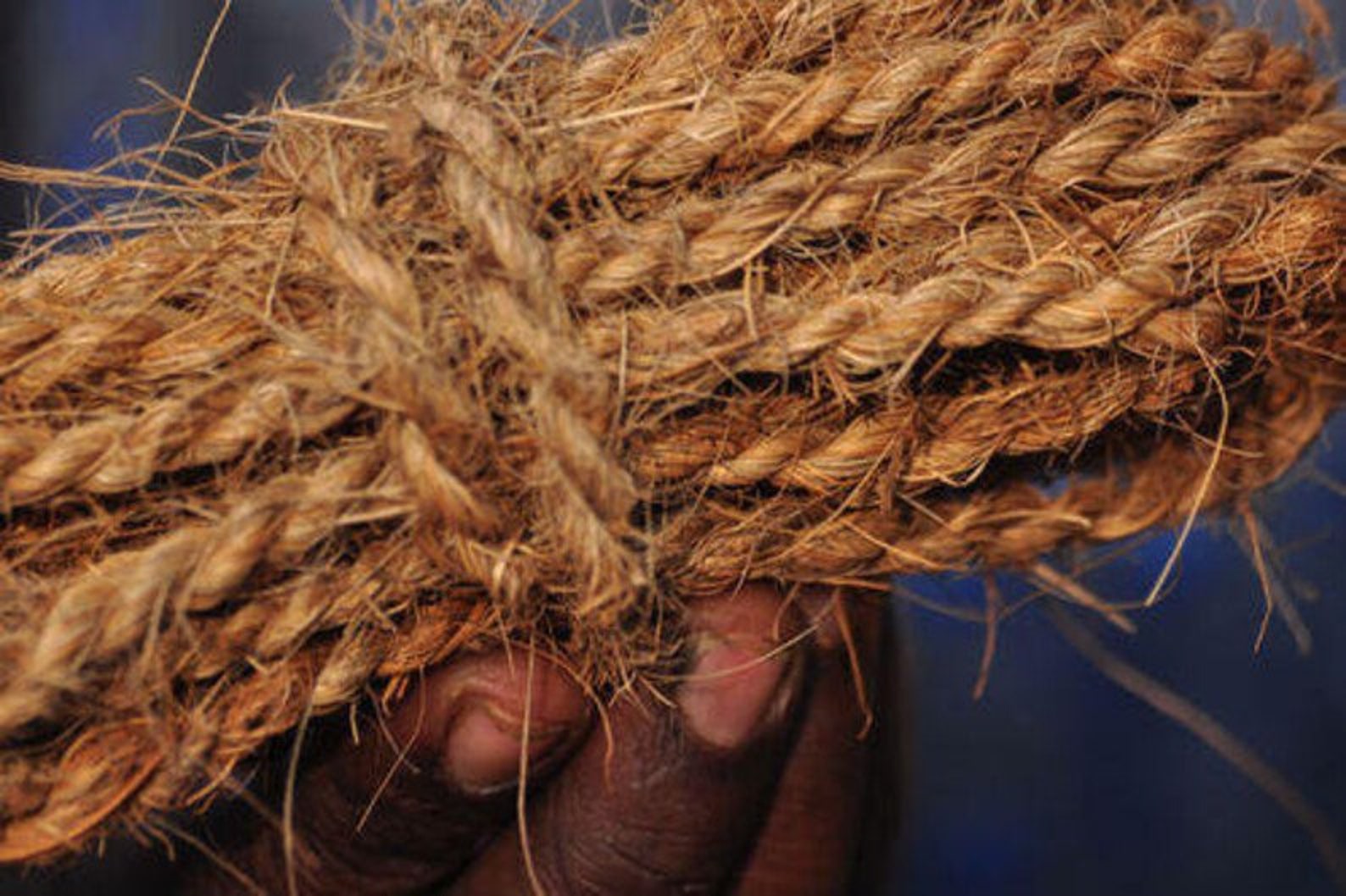 Coconut Fiber Rope Coconut Rope Natural Coconut Rope Handmade Fiber ...