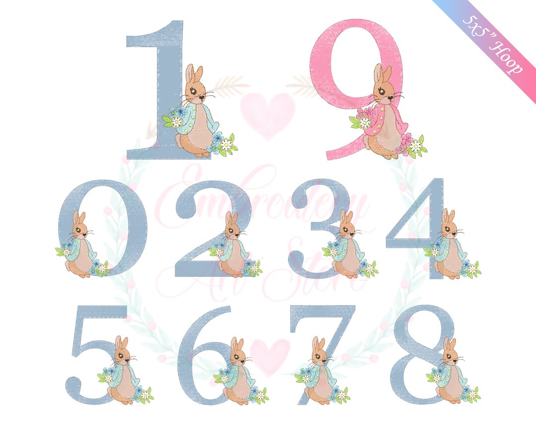 Peter Rabbit With Flowers Numbers Machine Embroidery Designs -5x5 Inch ...