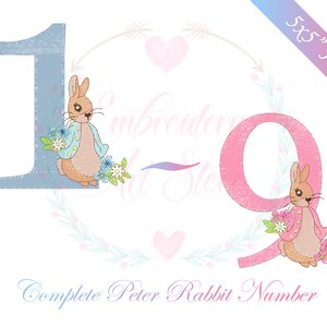 Peter Rabbit With Flowers Numbers Machine Embroidery Designs -5x5 Inch ...