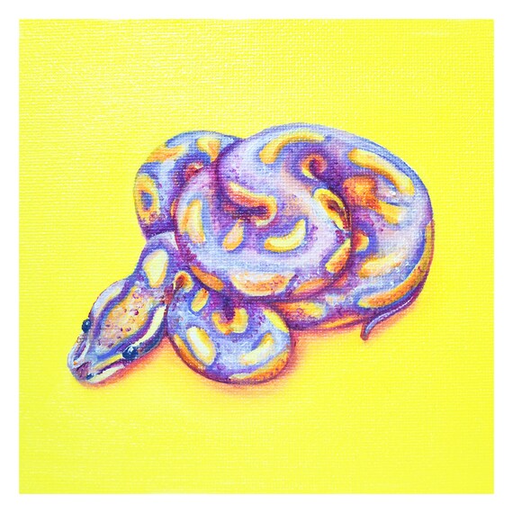 Purple And Yellow Snake