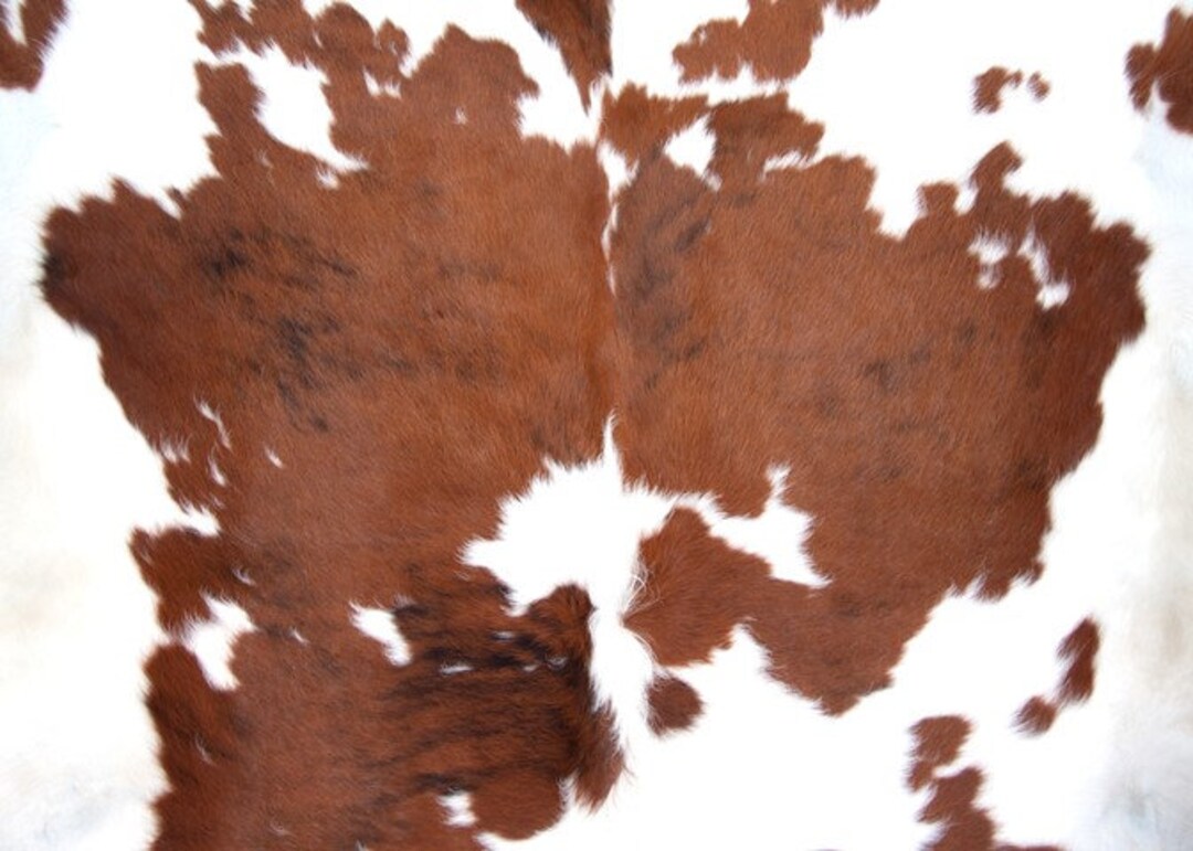 Cowhide | Roycycled Decoupage Paper | Roycycled Treasures - Etsy
