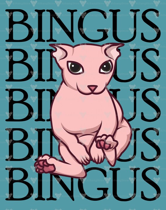 Bingus bingus bingus Download PNG Files Digital Art | Etsy