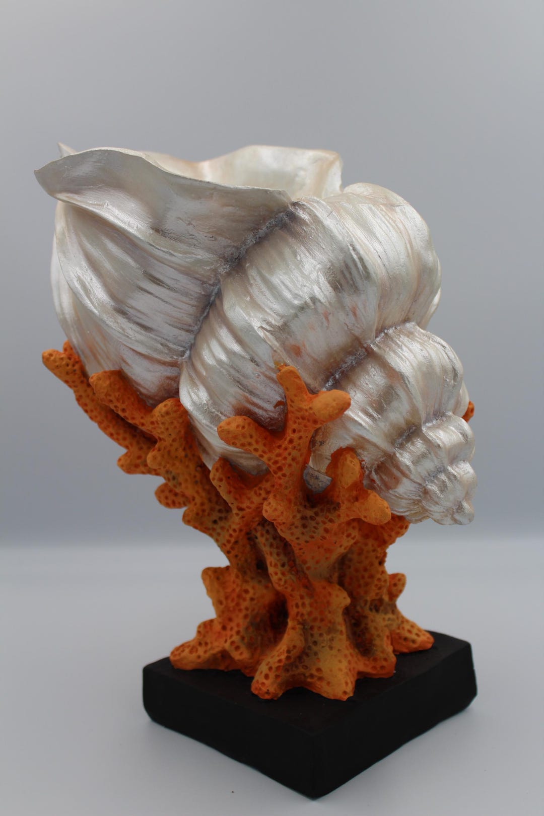 Hand-painted Decorative Sea Shell Coastal Beach Décor, Unique Ocean ...