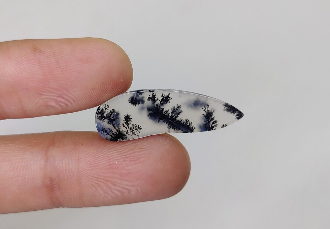 Unique Shape Dendritic Quartz Floral Dendrite - Etsy