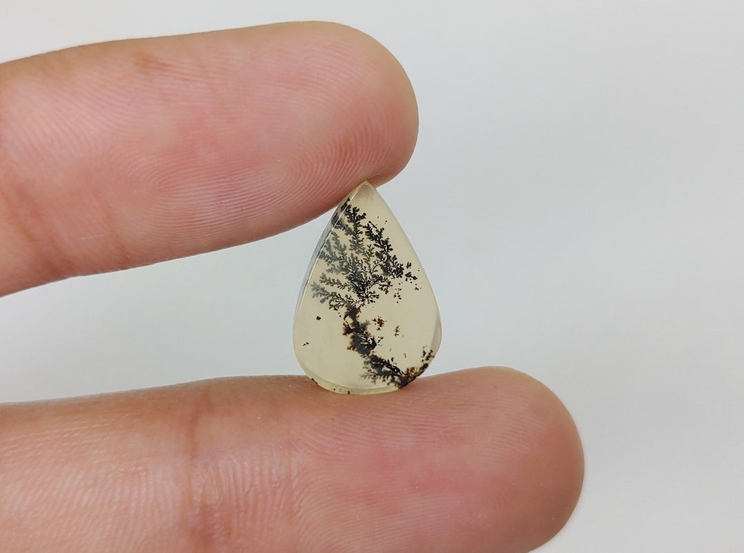 Old Tree Dendritic Quartz Teardrop Dendrite Quartz - Etsy