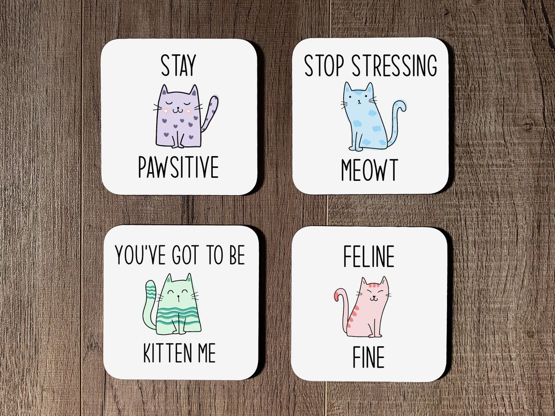 Funny Cat Coasters, Positive Affirmation Gift, Cheer up Gifts for Women ...