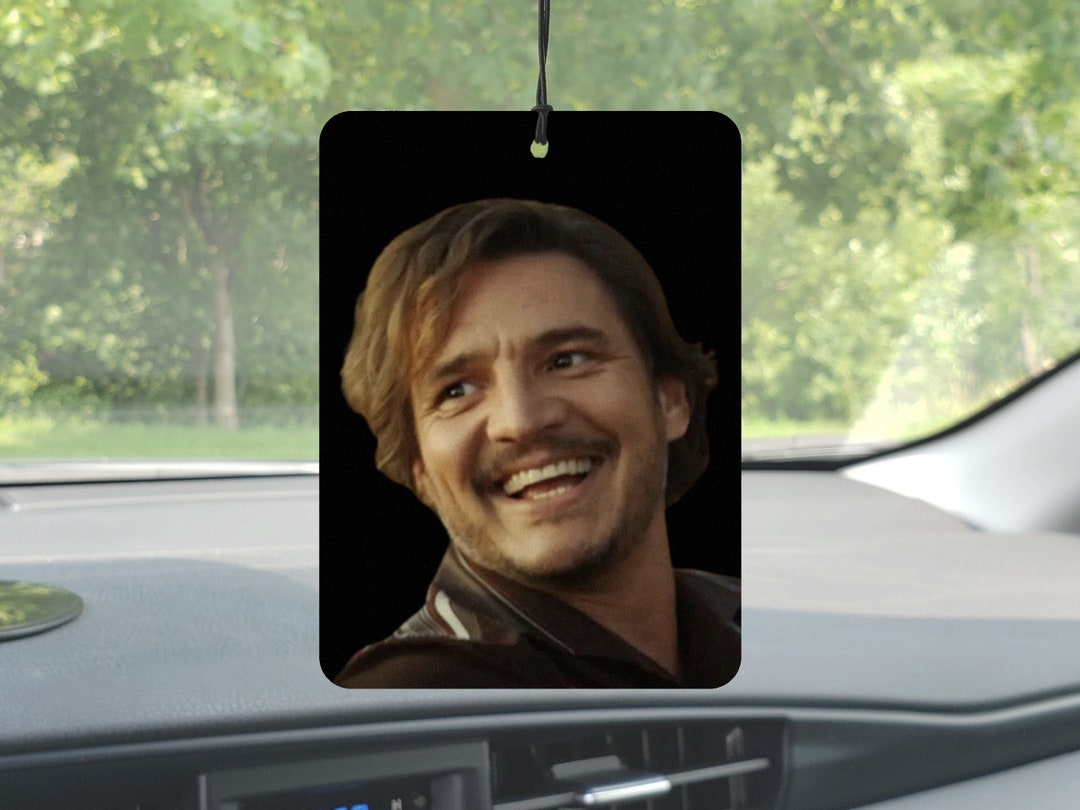 Pedro Pascal Car Air Freshener, Funny Car Accessories for Women, Pedro ...