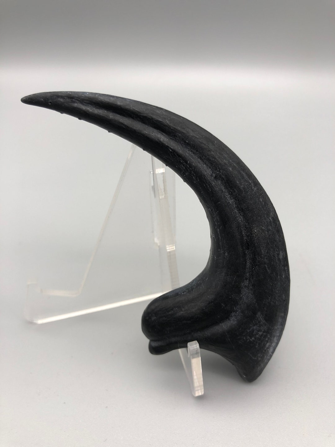 3D Resin Printed Velociraptor / Raptor Claw, Jurassic Dinosaur Movie ...
