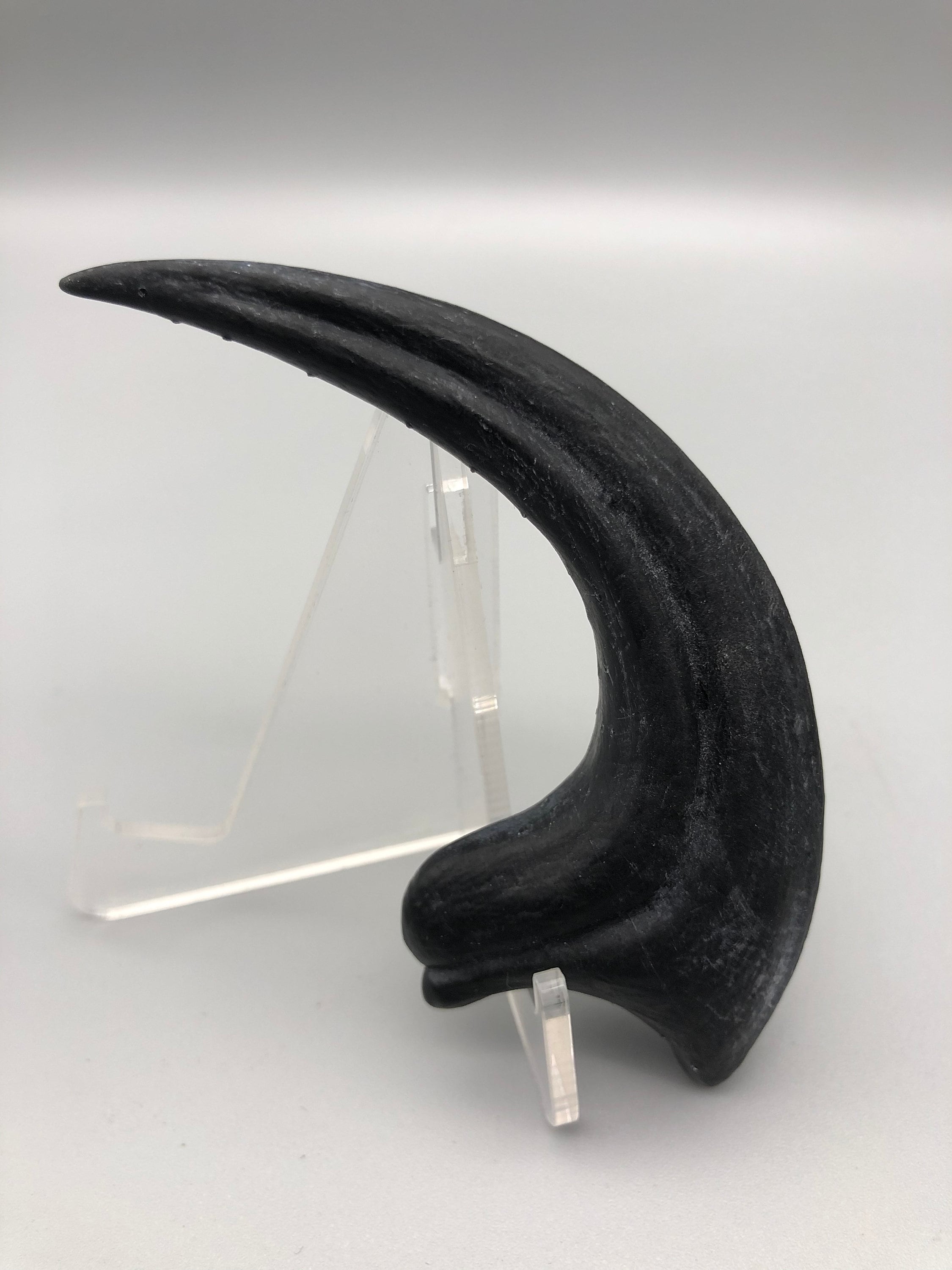 3D Resin Printed Velociraptor / Raptor Claw, Jurassic Dinosaur Movie ...