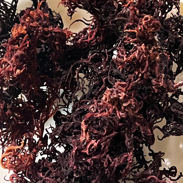 Wild Sea Moss - Etsy
