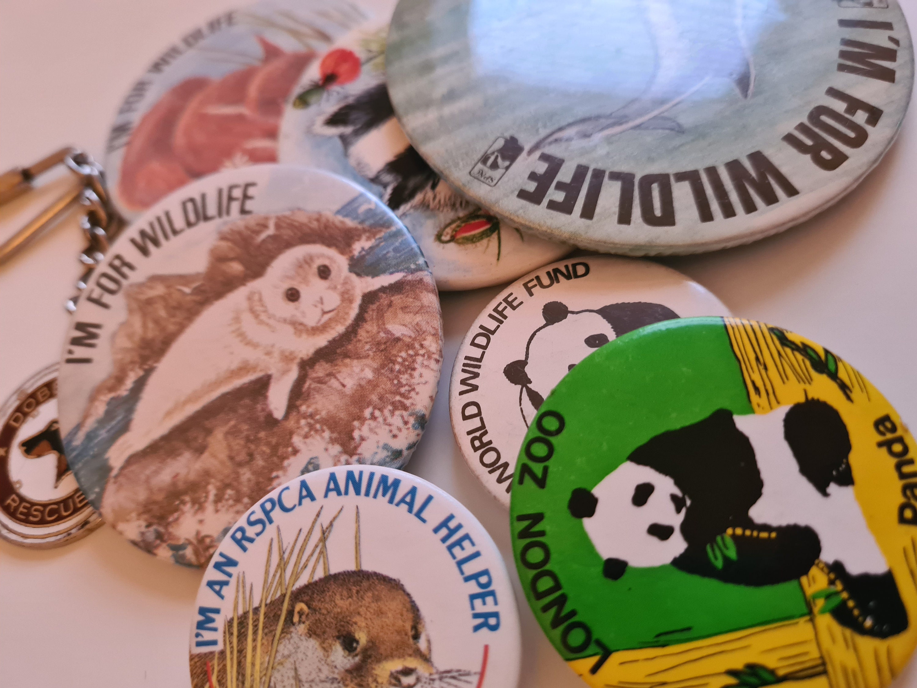 Vintage Retro Wildlife Badges Animals Various Designs - Etsy UK