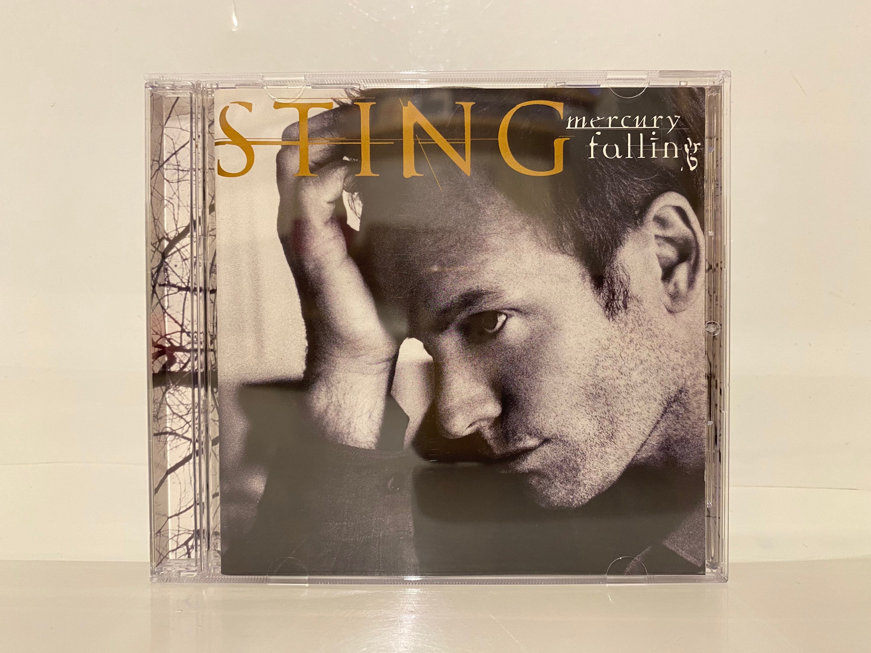 Sting Album
