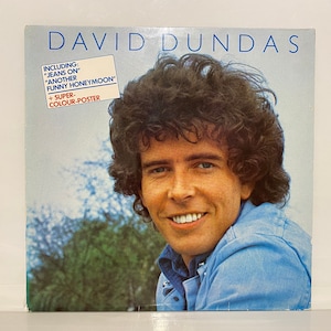 David Dundas Album Genre Rock Vinyl LP 12 Record Vintage - Etsy