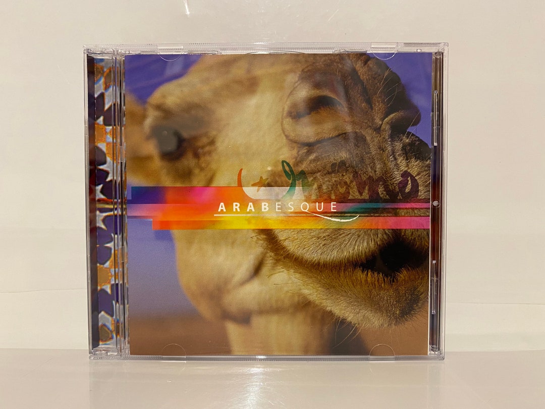 Arabesque CD Collection Album Genre Electronic Gifts Vintage Music - Etsy