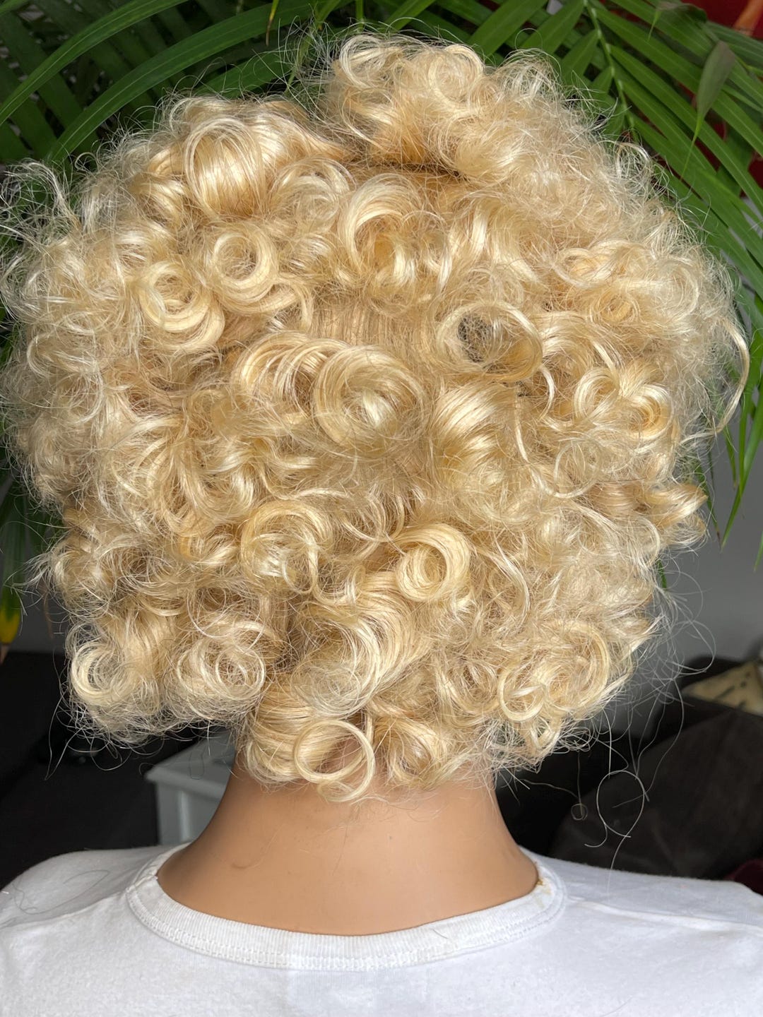 Brandy Curly Blonde Brazilian Platinum Body 100% Human Hair Wigs 12 ...