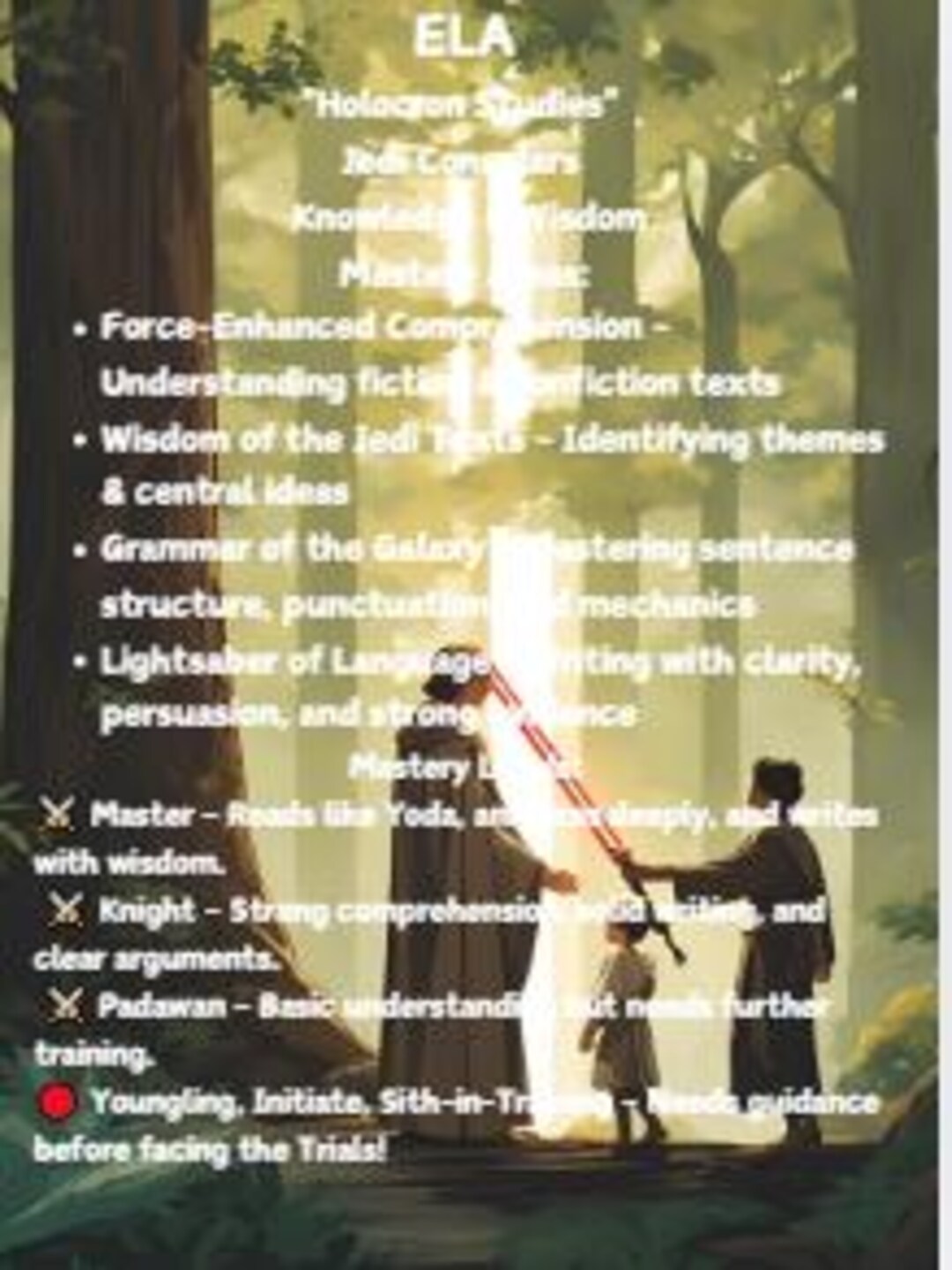 Jedi State Testing Anchor Chart - Etsy