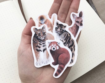 Chinese Panda Sticker - Etsy