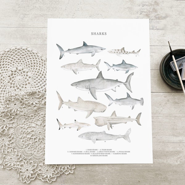 Shark Prints - Etsy