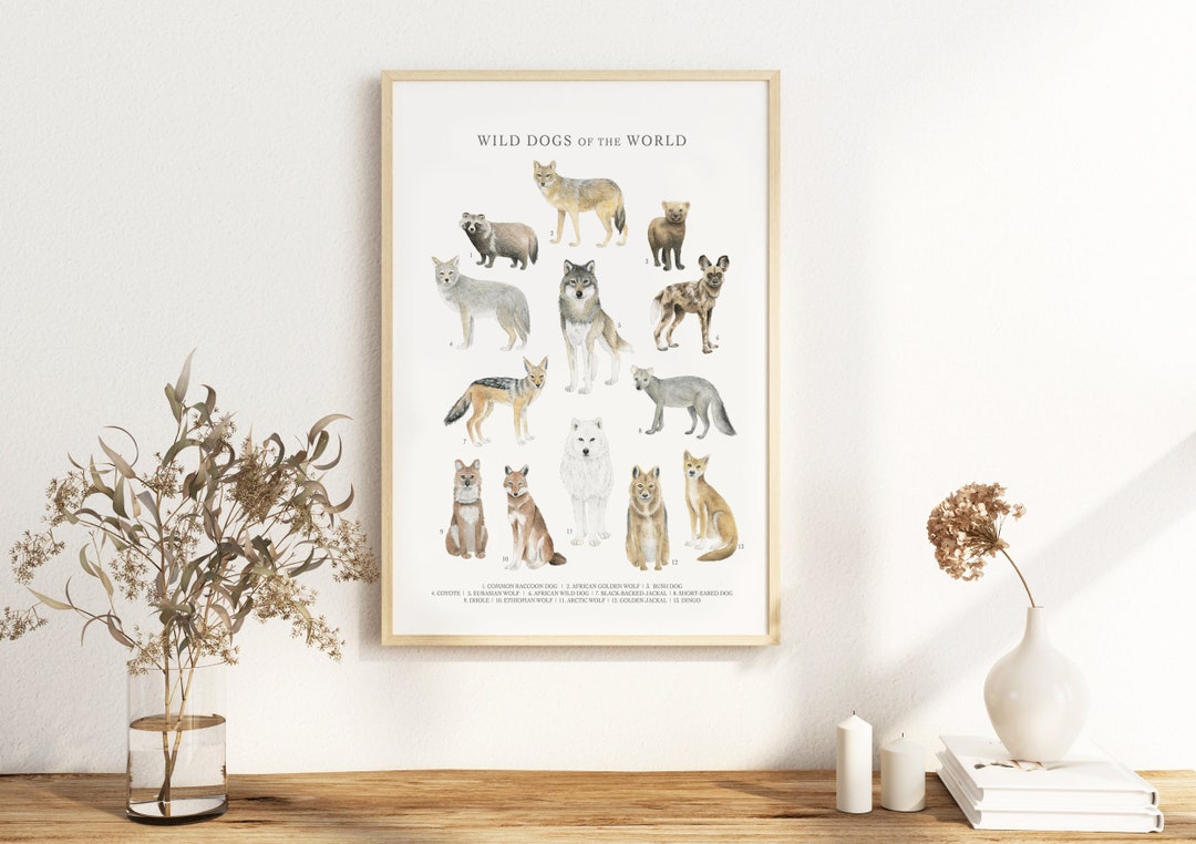 A3 Dogs of the World Wall Art Poster Print Natural History Wall Chart ...