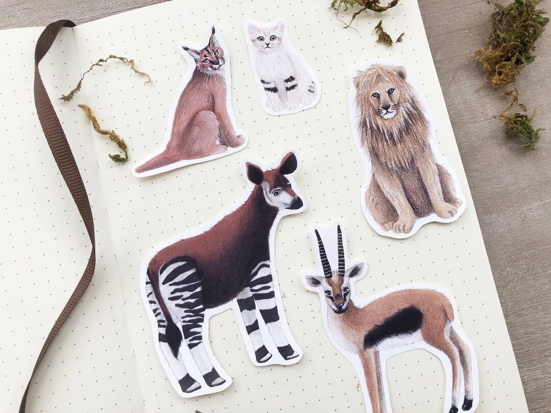 Safari Animal Sticker Set of 5 Illustrated Animal Stickers Journal ...