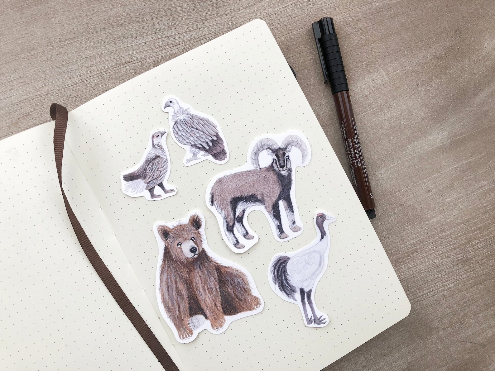 Himalayan Animal Sticker Set of 5 Illustrated Stickers | Etsy