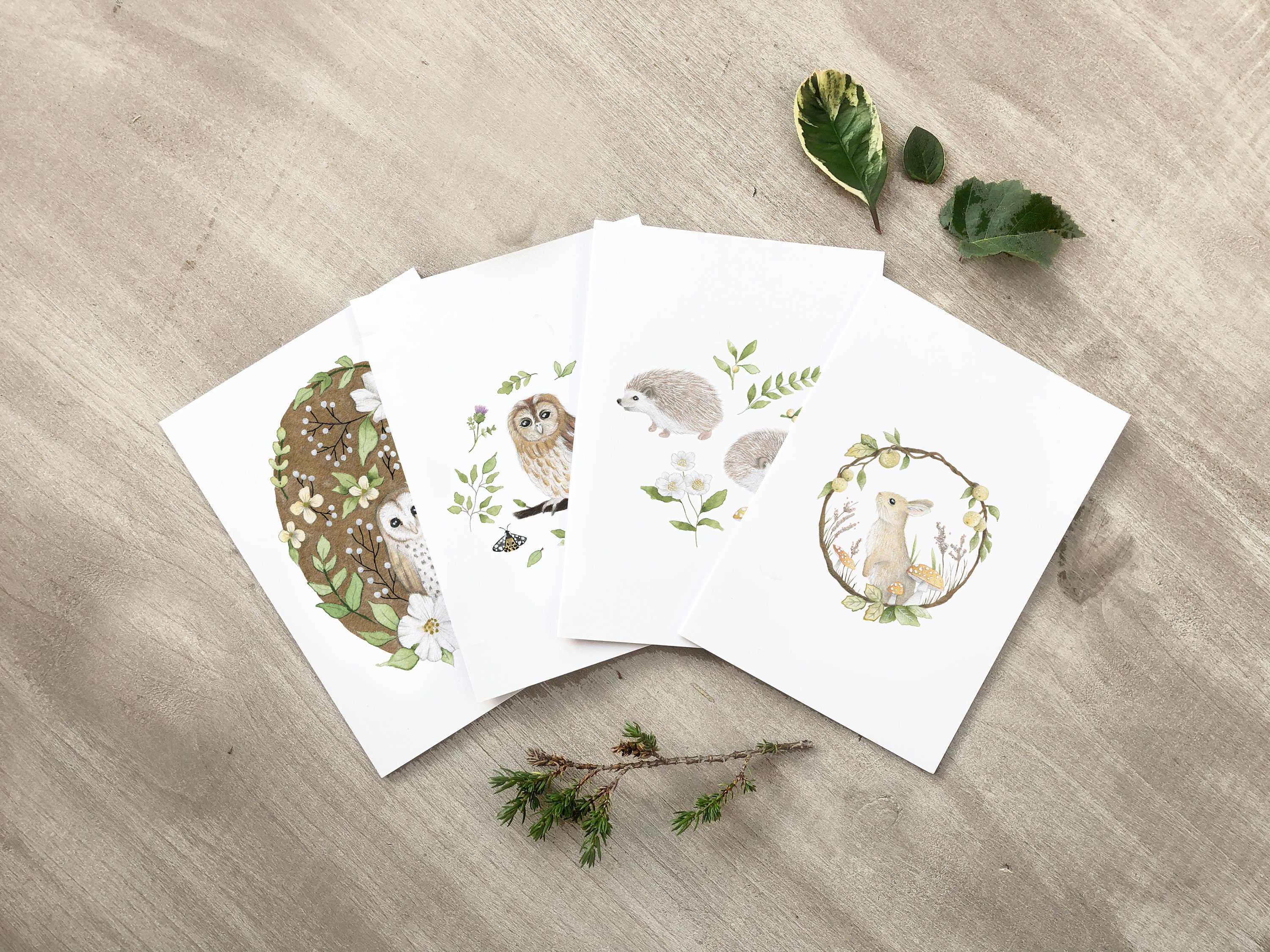 Woodland Animals Card Set Forest Greetings Card Barn Owl - Etsy UK